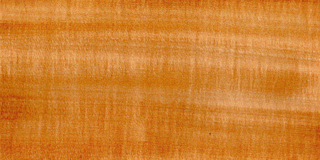 Lindenholz - BAUBEAVER