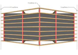 Pfetten: Der Zimmerer erklärt + 8 Zeichnungen