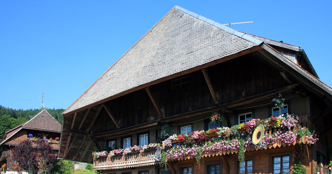 Walmdach-Workshop: Planung bis Ausführung + 8 Tipps vom Zimmerer